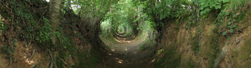 «Le chemin creux» – Los Amigos de Cervantes